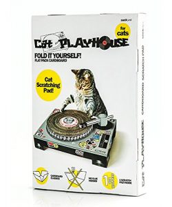 Turntable Cat Scratch Pad